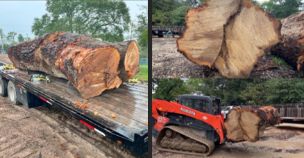 The Sylvan: A Model for Sustainable Development – Marquette Companies